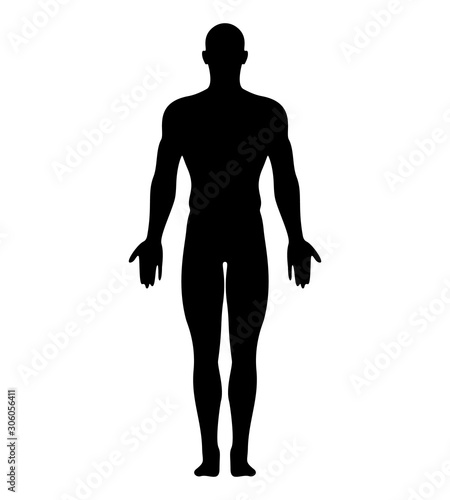 Anatomical Position Anterior View Male Body Vector Silhouette. Stock ...