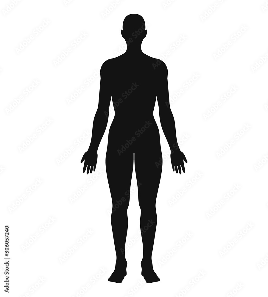 Anatomical Position Anterior View Female Body Silhouette Vector ...