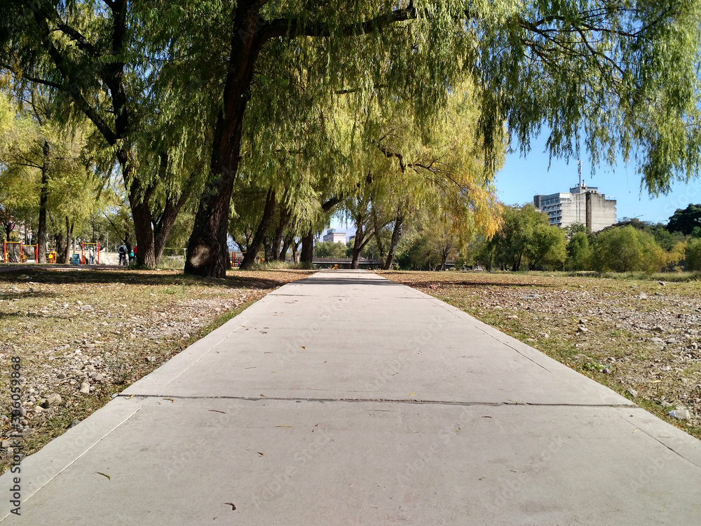 Paseo debajo de arboles en el parque de la ciudad Stock Photo | Adobe Stock