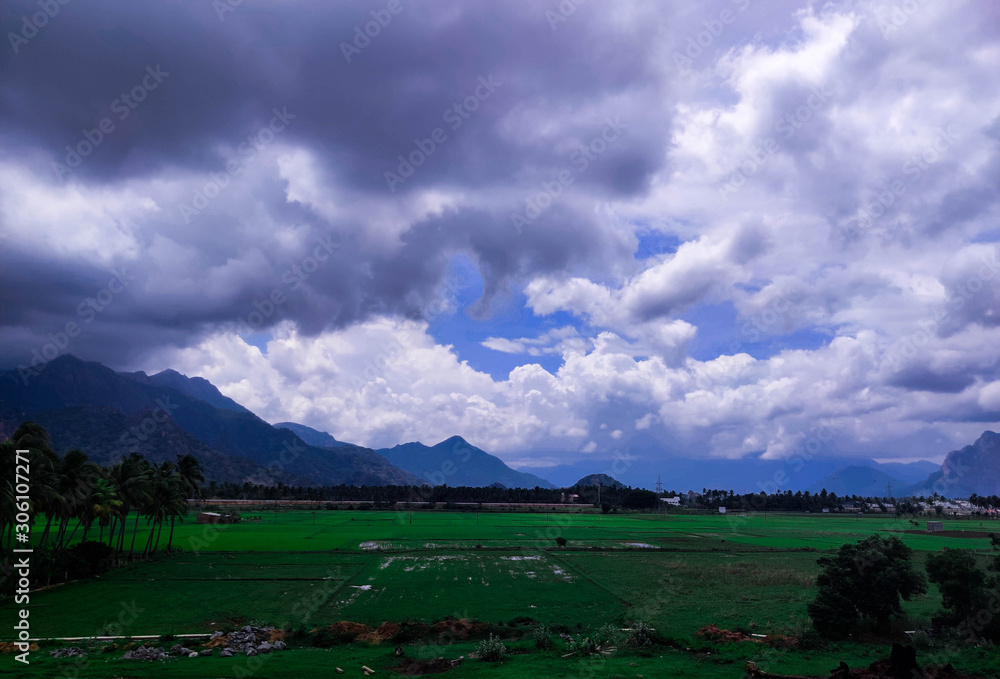 Beautiful Northern Plain of India Stock Photo | Adobe Stock