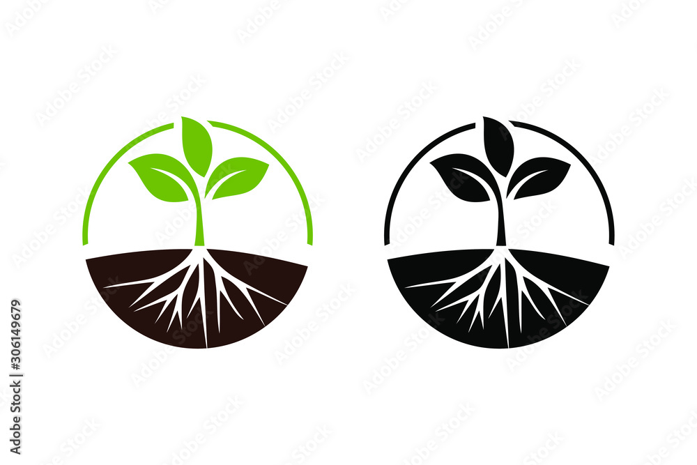 root and leaf for icon or logo design concept Stock Vector | Adobe Stock