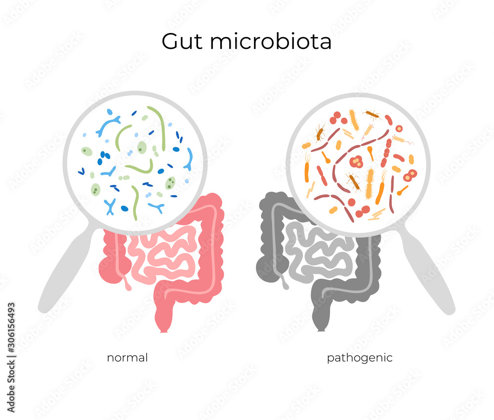 Vector illustration of human microbiota Stock Vector | Adobe Stock