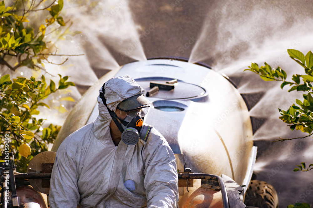 Tractor spraying pesticide and insecticide on lemon plantation in Spain ...