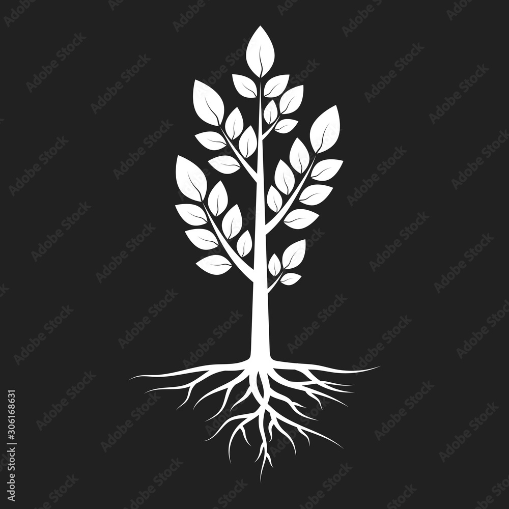Garden tree with roots and leaves silhouette. Vector isolated ...