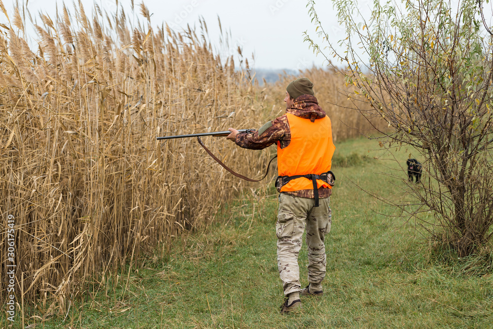 Hunting period, autumn season open. A hunter with a gun in his hands in ...