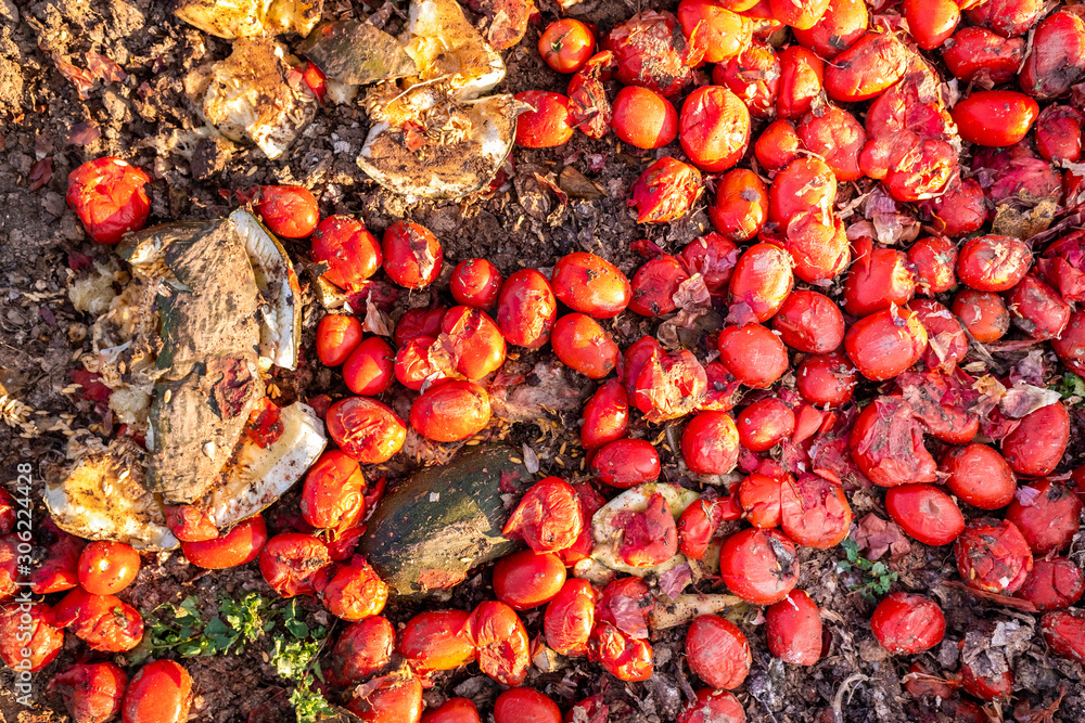 Rotten Fruit And Vegetables