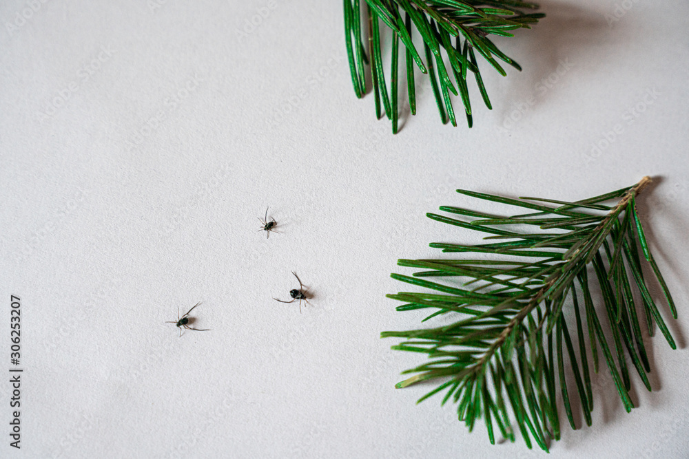 Christmas Tree From Bugs