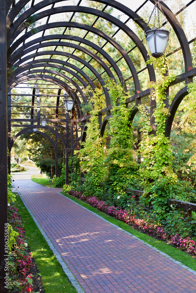 Beautiful alley under wooden garden arch in public park. Landscape ...