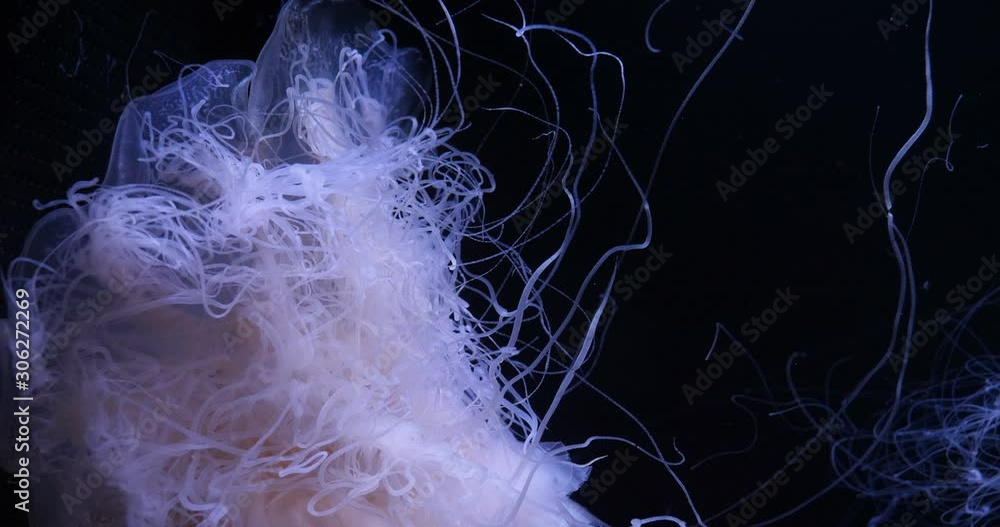 Germs microorganism cells under microscope. Viruses, bacteria and ...