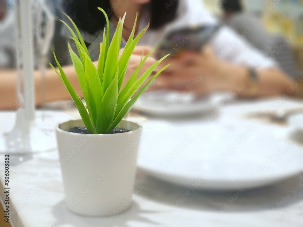 Selective focus of mini tree in white pot on the table in restaurant ...