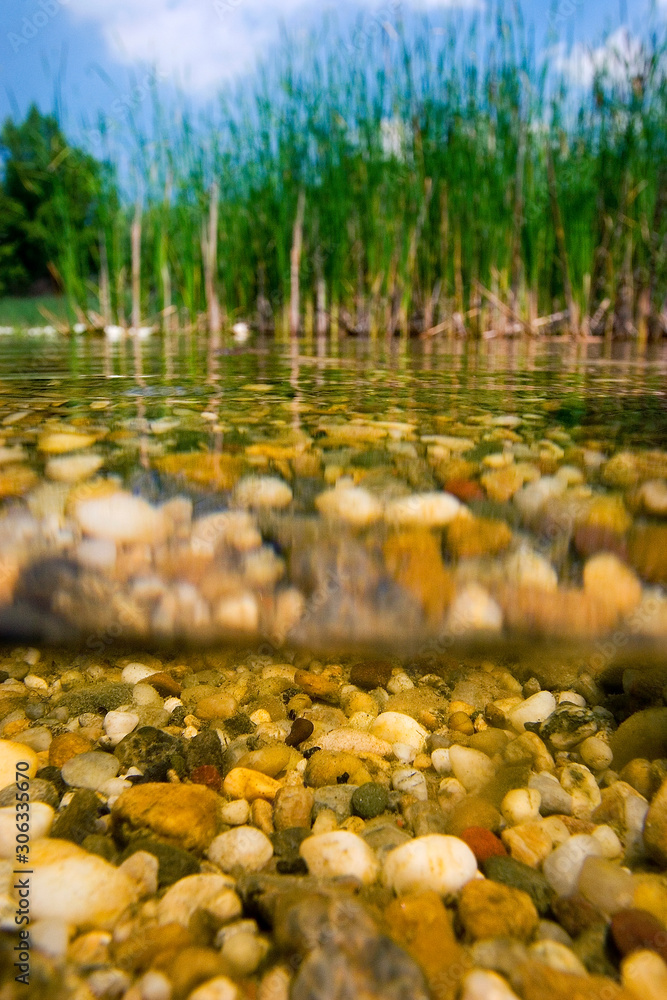 Underwater view of the Soderica gravel pit with a gravel bottom ...