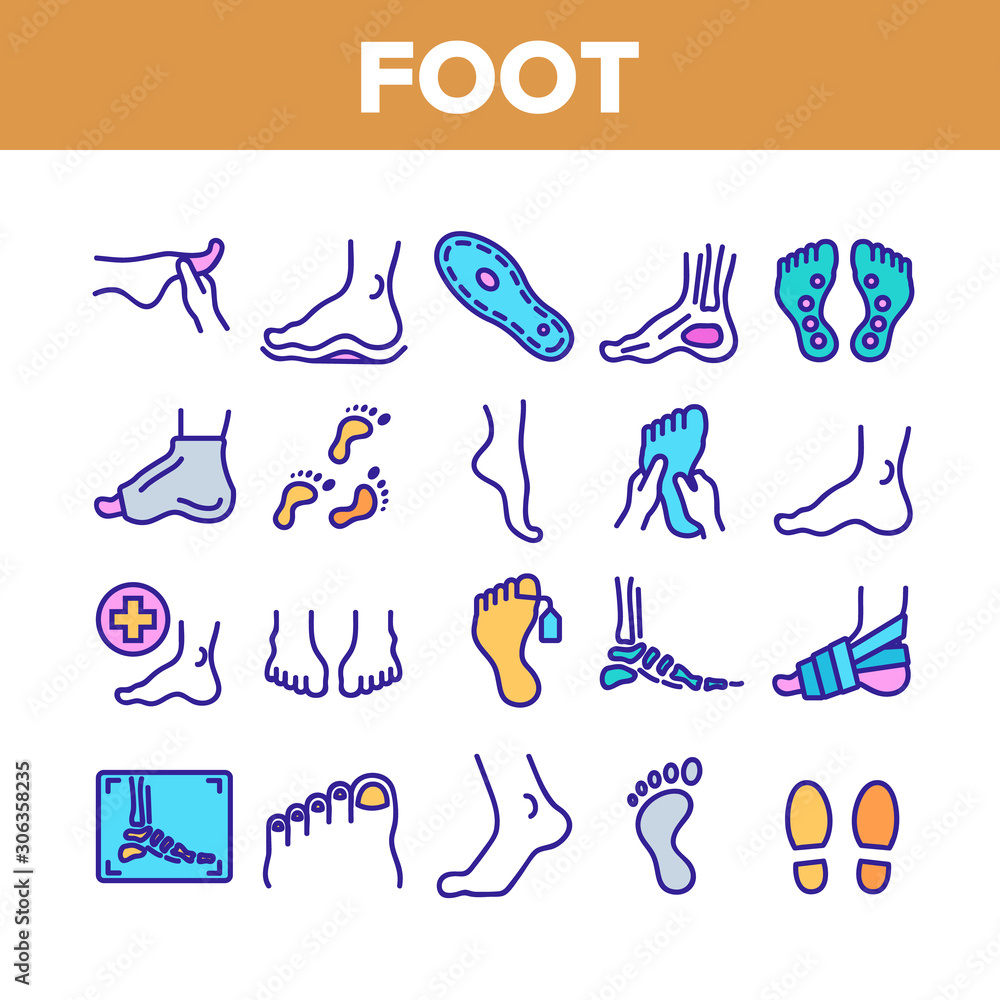 Foot Human Body Part Collection Icons Set Vector Thin Line. Skeletal ...