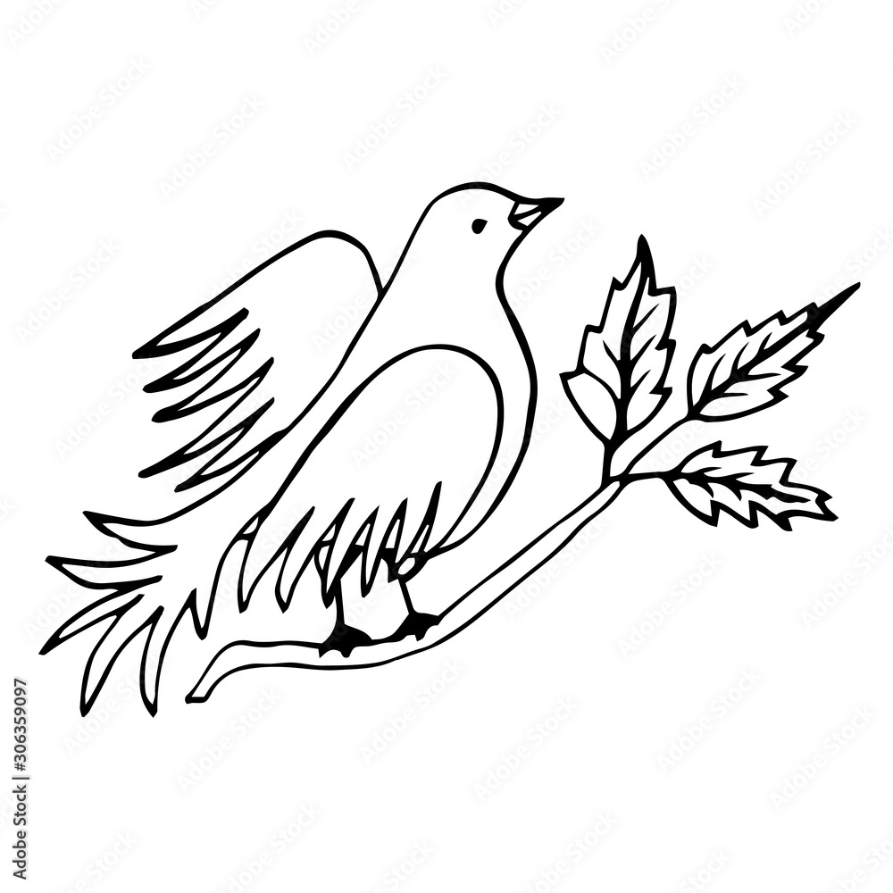 Bird On Tree Branch Drawing
