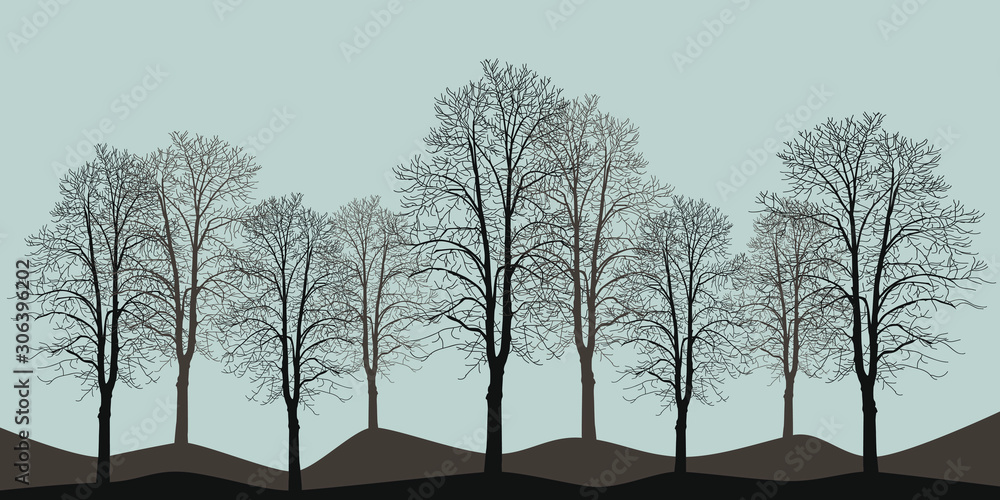 Many trees of different colors. Trees without leaves. Leafless tree ...