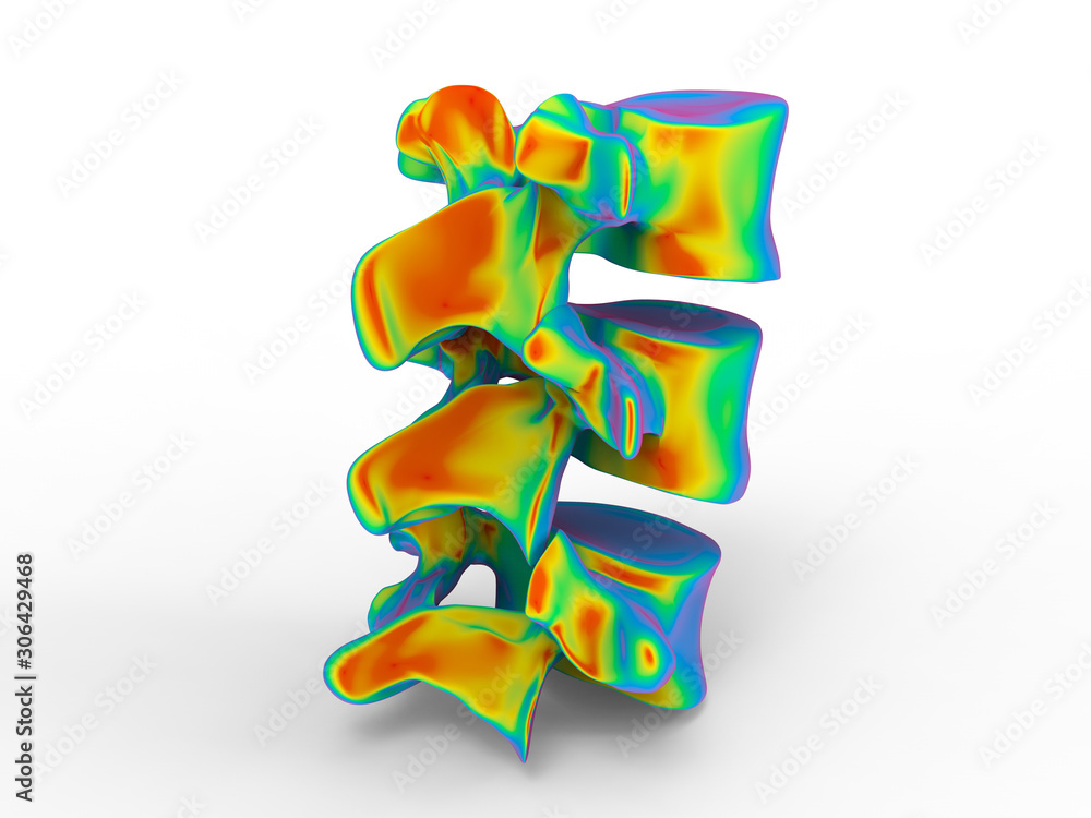 3D rendering - human spine stress analysis Stock Illustration | Adobe Stock