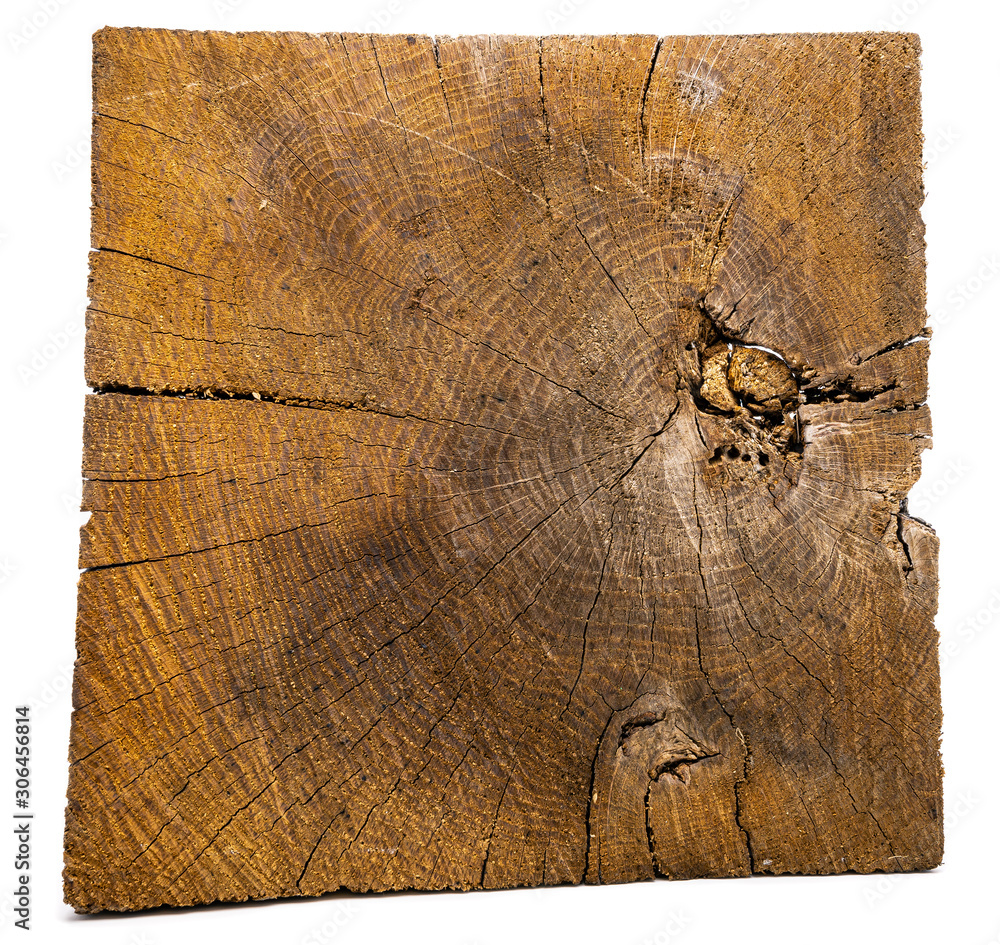 Wood background texture. Square piece of log representing the round ...