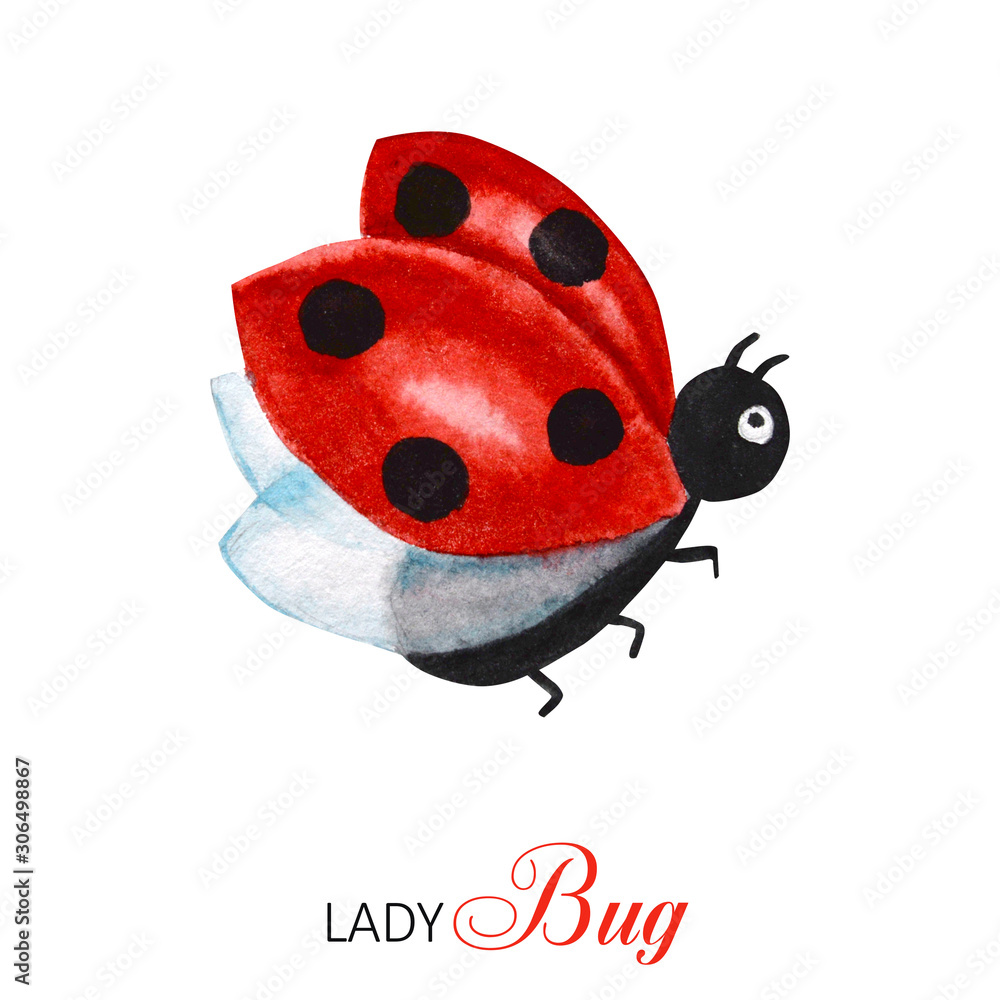 Flying Ladybug Cartoon