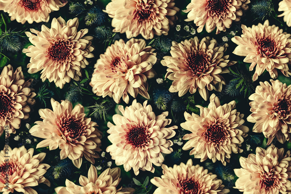 Tumblr Floral Background