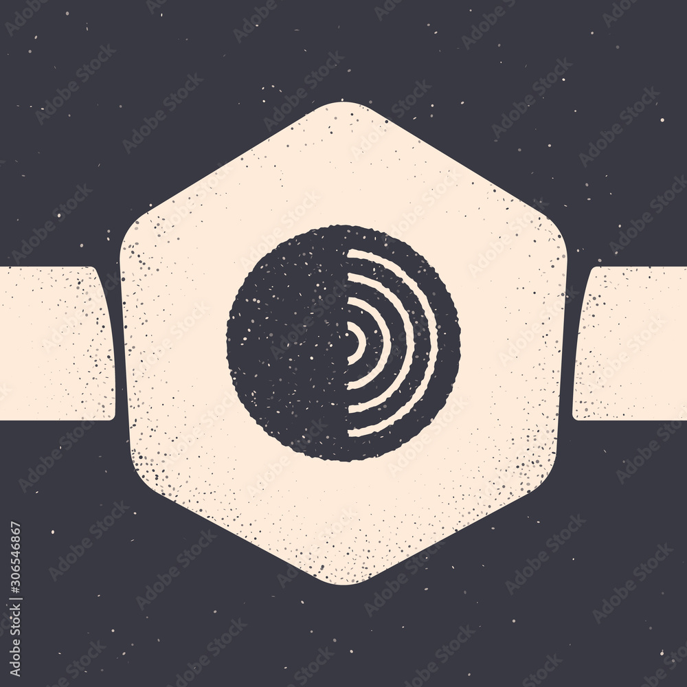Grunge Earth structure icon isolated on grey background. Geophysics ...