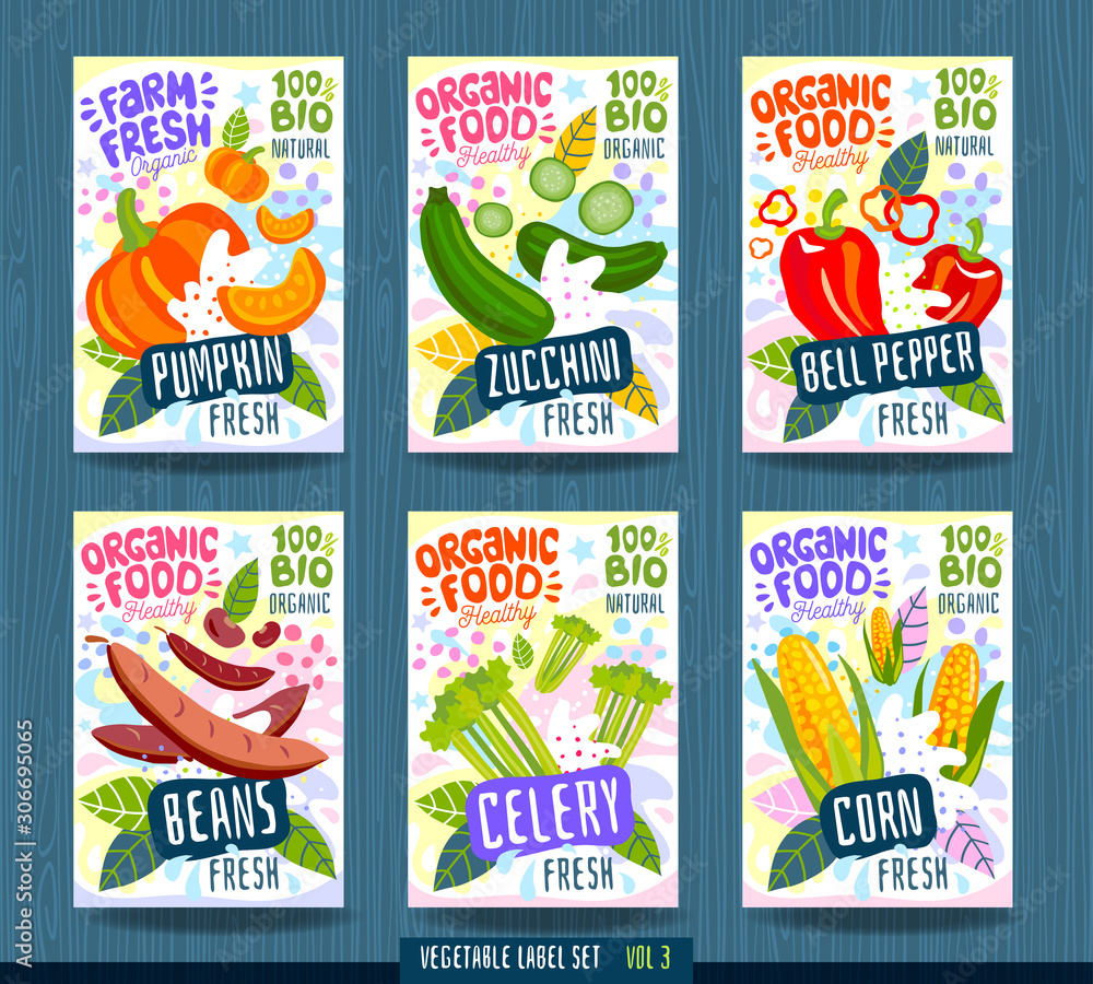 Abstract splash Food label template. Vegetables, fruits, spices ...