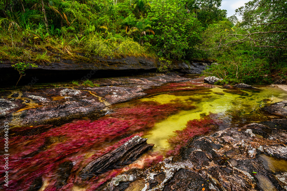 The rainbow river or five colors river is in Colombia one of the most ...