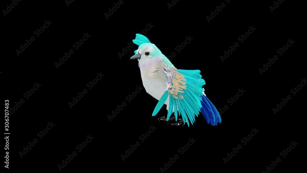 bird fly fur 3d rendering animal realistic CGI VFX Animation Loop Crowd ...