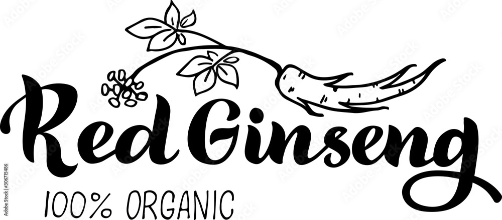Red ginseng - Vector text, logo for your products, shop, business cards ...