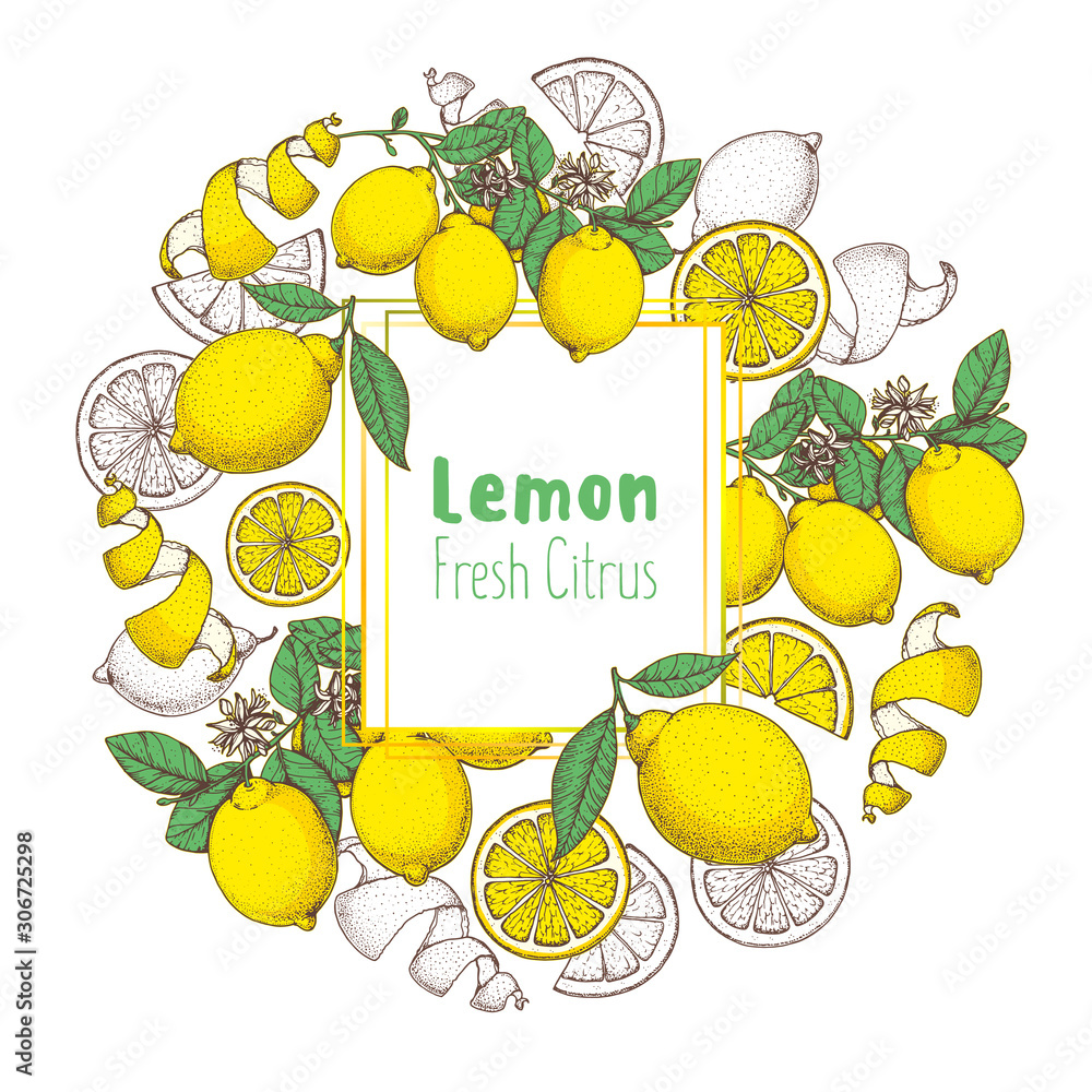 Fresh lemon hand drawn package design. Vector illustration. Lemon label ...