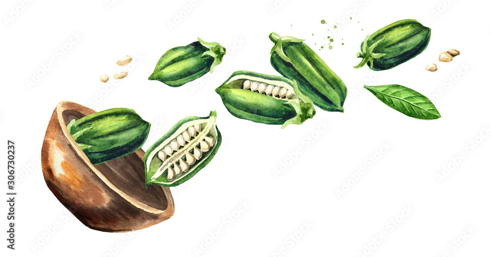 Bowl with sesame pods. Hand drawn horizontal watercolor illustration ...
