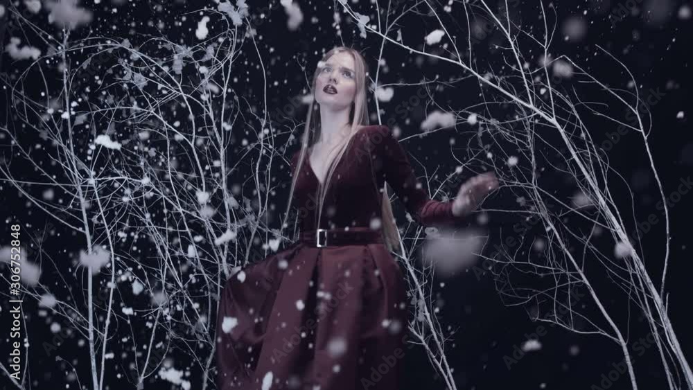 Snow Queen. Girl in red stylish long dress among dry bushes and tree in ...