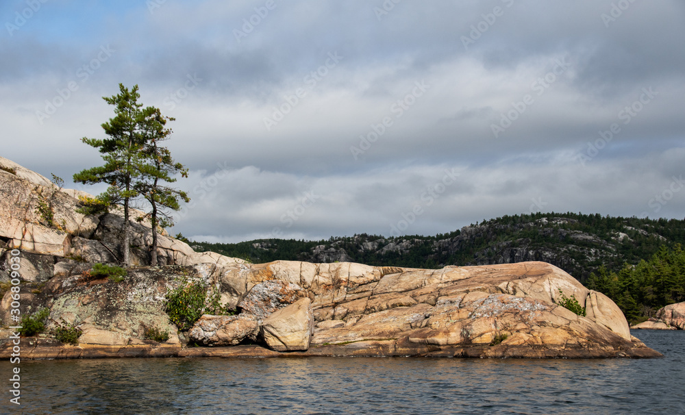 Lone pine trees on rock island George Lake Killarney prov. park Ontario ...