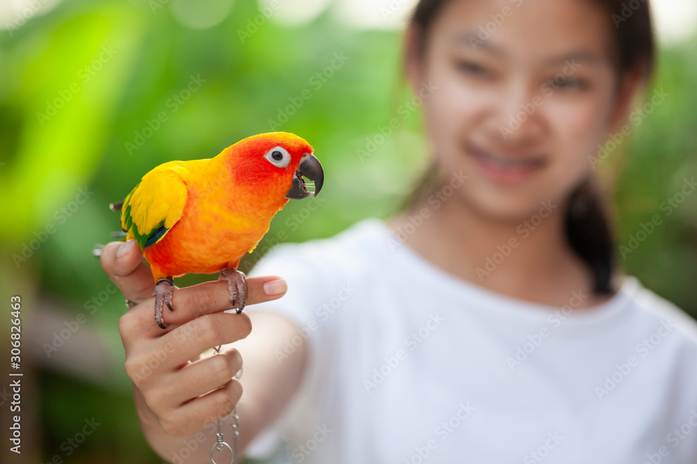Beautiful little parrot birds standing on woman hand. Asian teenager ...