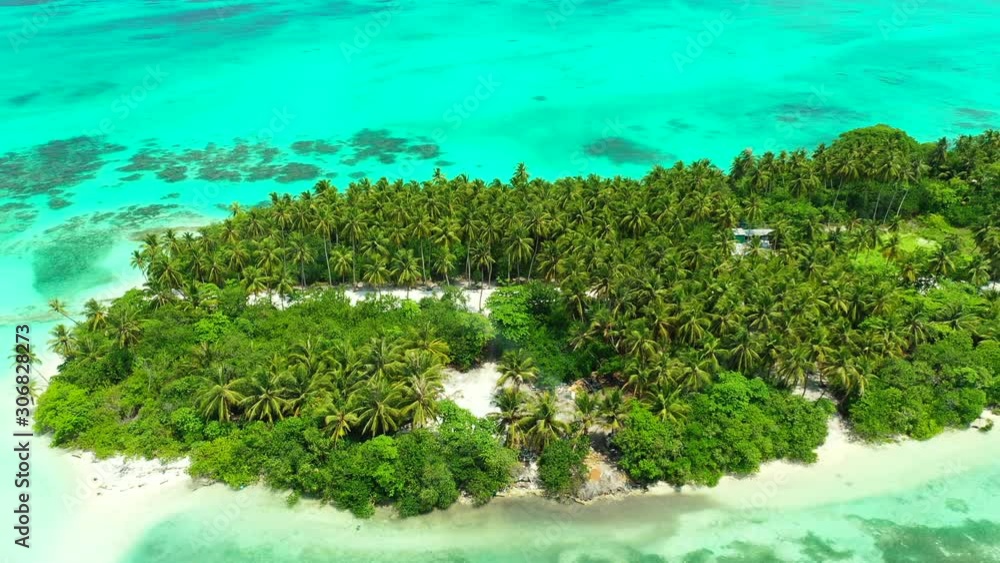 Palm trees forest and lush vegetation of idyllic tropical island ...