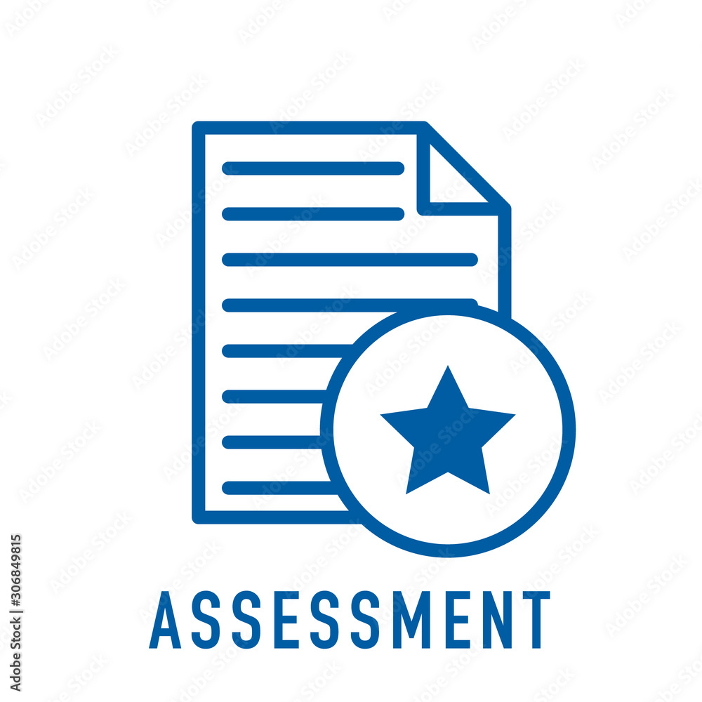 Assessment Icon Vector