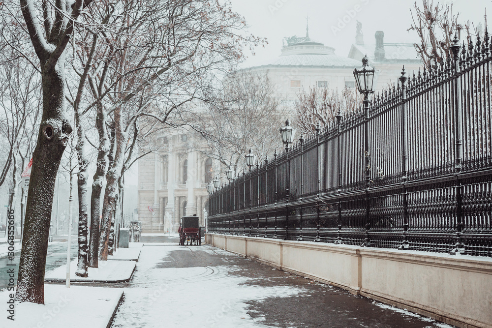 Vienna Opera House in winter in the snow, Vienna, Austria. Fairytale ...