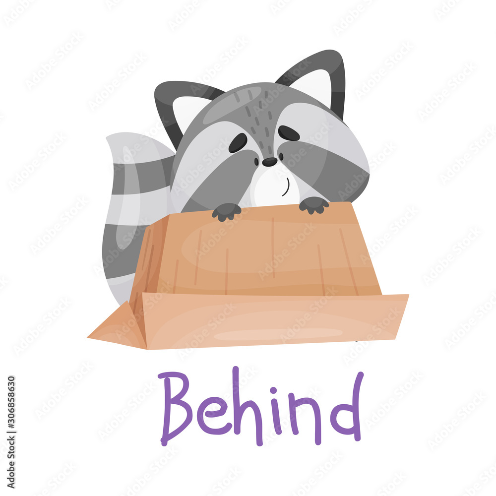 Pretty Little Raccoon Is Behind The Box With Handwritten Inscription ... Pretty Little Raccoon Is Behind The Box With Handwritten Inscription ...
