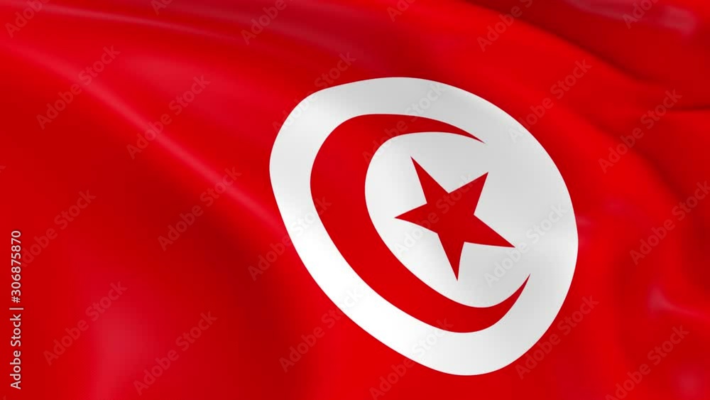 Photo realistic slow motion 4KHD flag of the Tunisia waving in the wind. Seamless loop animation ...