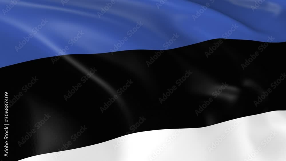 Photo realistic slow motion 4KHD flag of the Estonia waving in the wind. Seamless loop animation ...