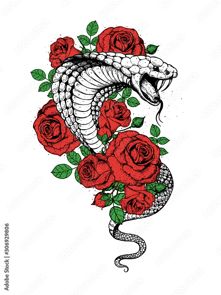 Cobra snake and roses flowers hand drawn illustration. Tattoo vintage ...