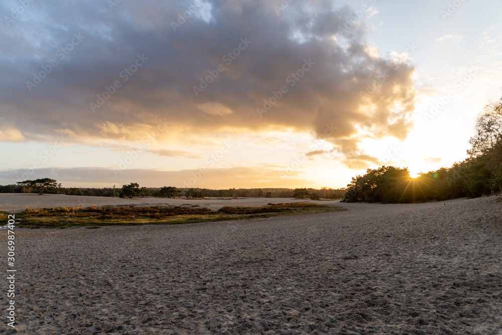 Soester Duinen, Soest, Utrecht Stock Photo | Adobe Stock