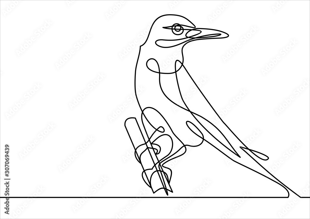 Continuous line bird.vector illustration. One line drawing. Concept for ...