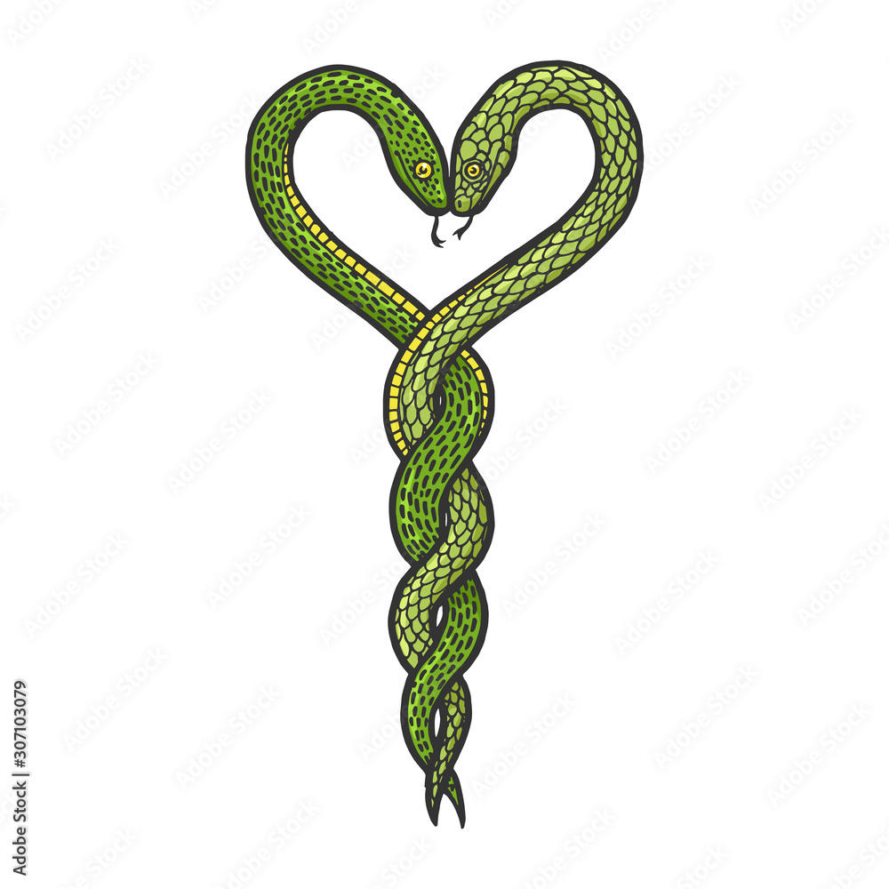 Snake love couple hug sketch engraving vector illustration. T-shirt ...