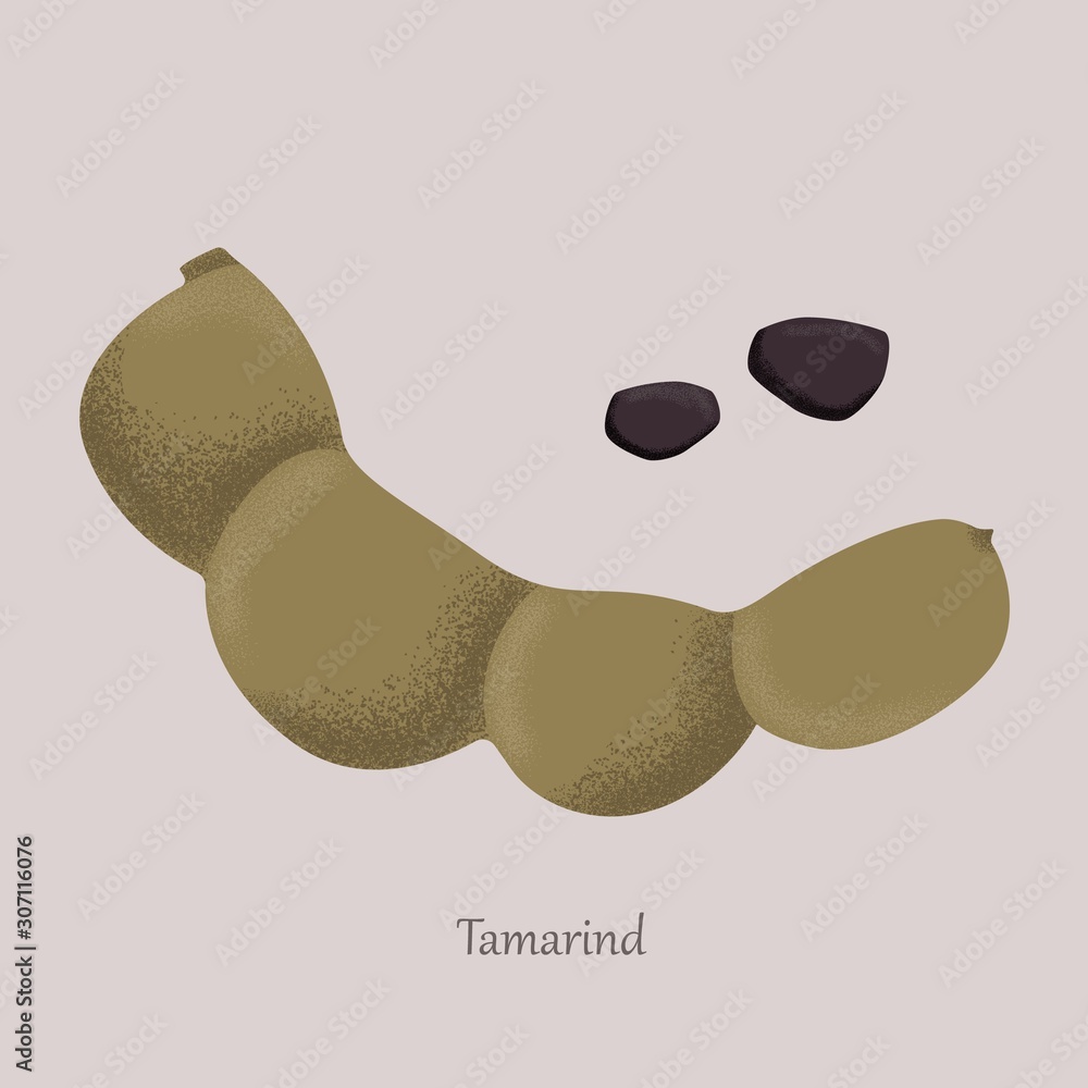 Tamarind sweet tropical fruit. Ripe tamarind and brown grains. Southern ...