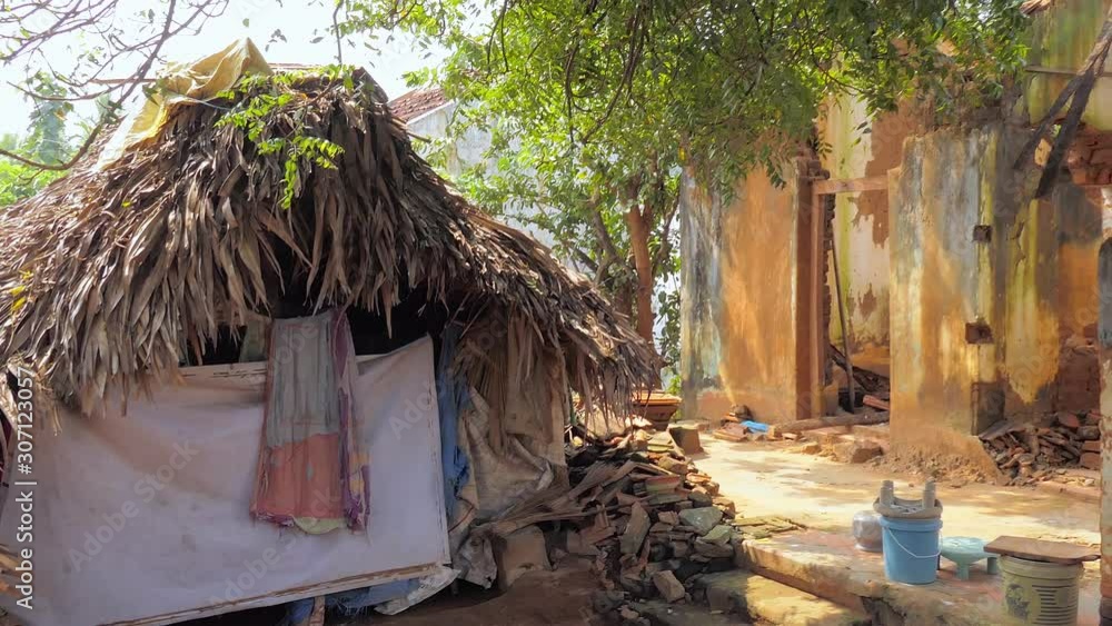 Poverty stricken owner's primitive palm leaf thatched wooden hut in ...