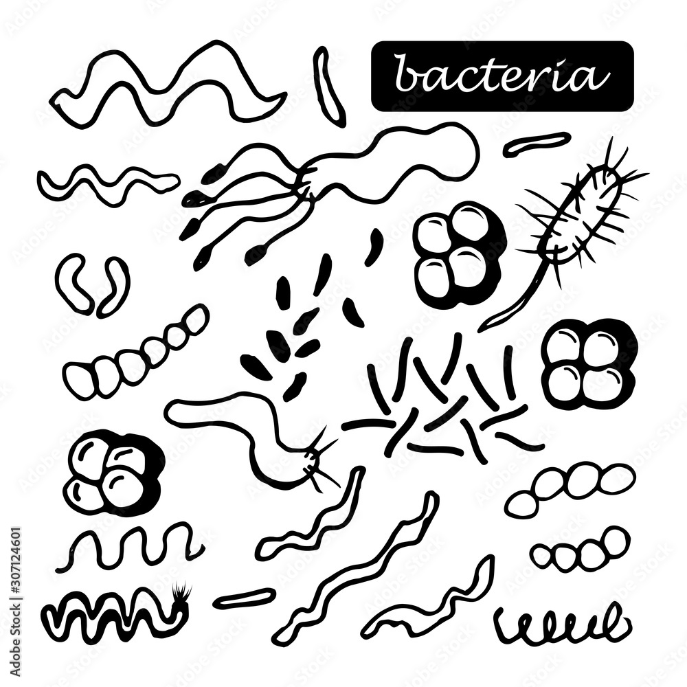 Bacteria and germs doodle set, microorganisms disease causing objects ...