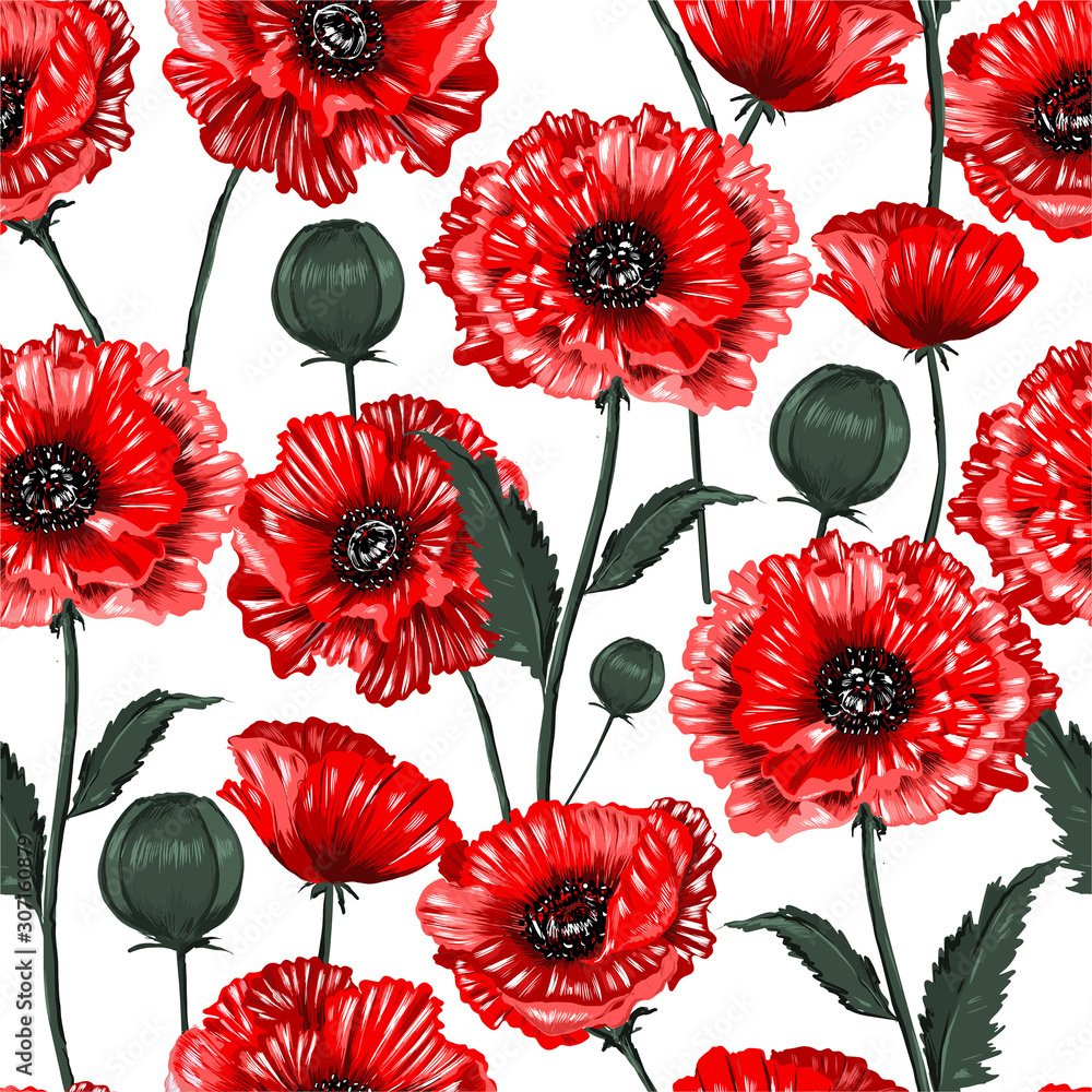 Beautiful blooming red poppy flowers seamless pattern illustration ...