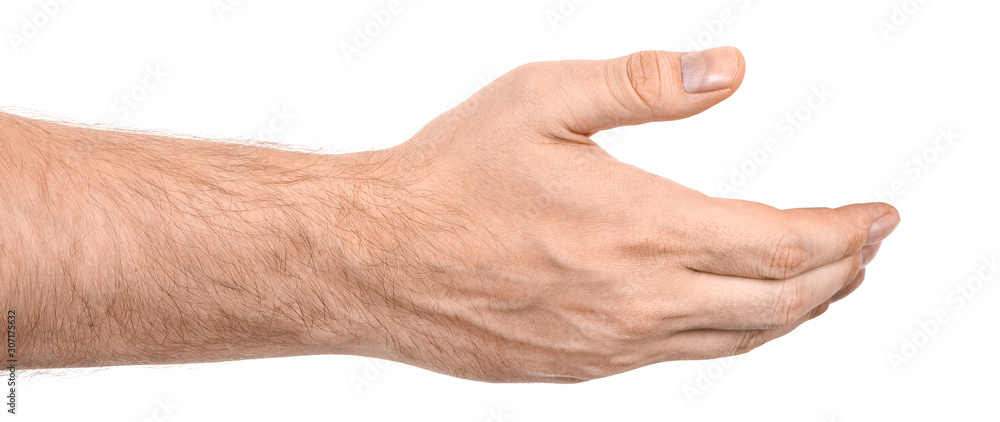 male caucasian hands isolated white background showing gesture holds ...