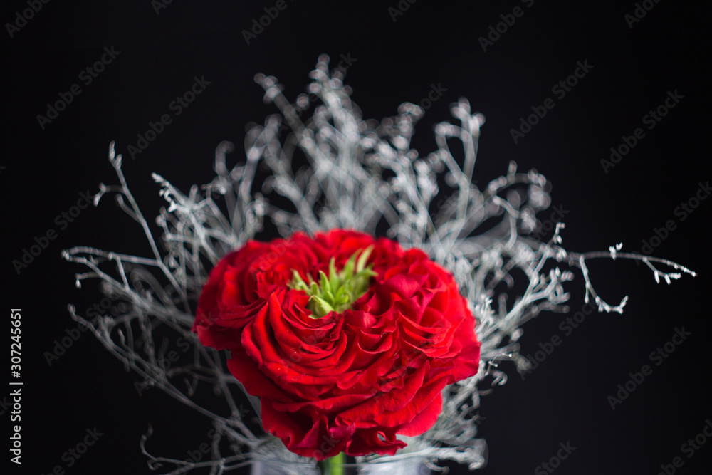 Single Red Rose Black And White