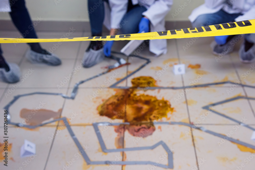 Forensic technicians taking DNA sample from blood stain with cotton ...