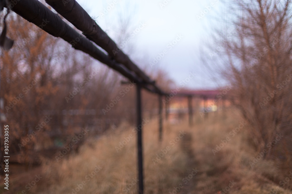 old heat pipes laid above the ground among trees, human influence on ...